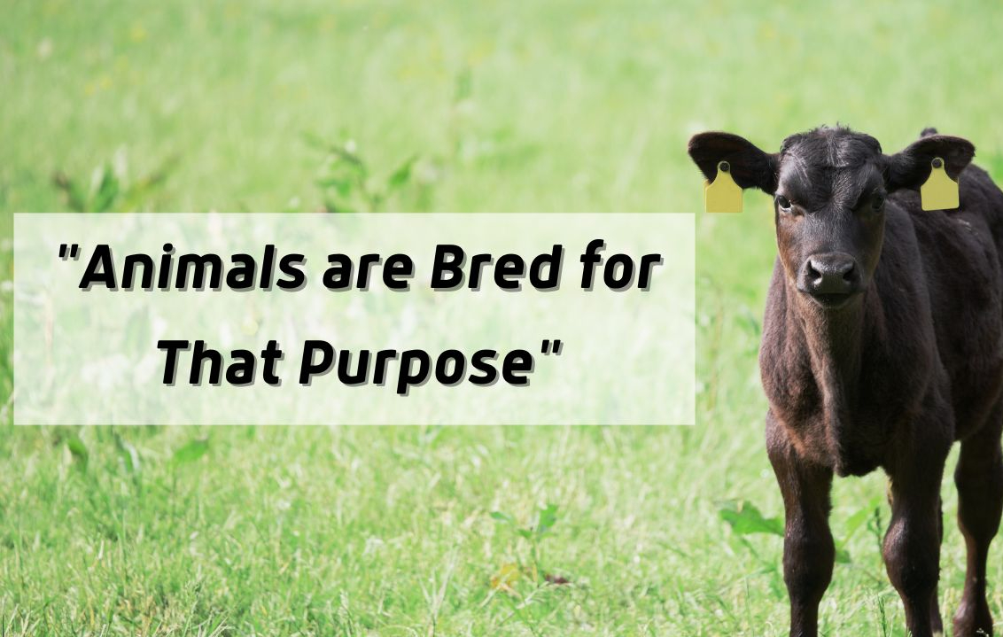 “Animals Are Bred for that Purpose” – For Animals.