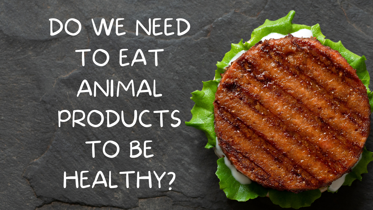 Do We Need to Eat Animal Products to be Healthy? – For Animals.